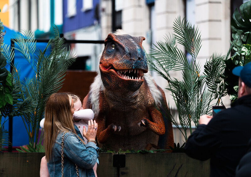 Derry City & Strabane - Subsites